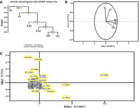 Cluster Dendrogram A Correlation Circle B And Biplot C Of Download Scientific Diagram