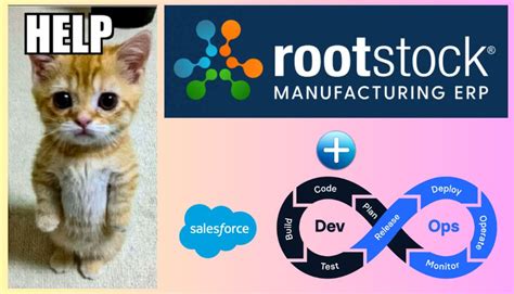 nicolas vuillamy 🦙 on linkedin devops help rootstock fullsandboxes