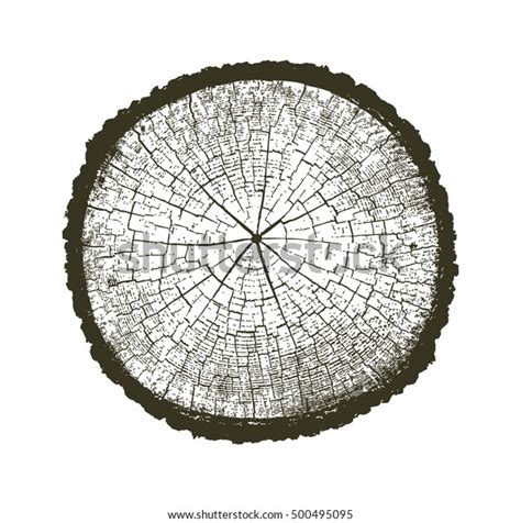 Vector Wood Texture Cross Section Tree Stock Vector Royalty Free 500495095 Shutterstock