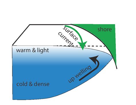 Global Sea Levels Floating Times