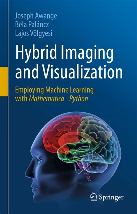 Hybrid Imaging And Visualization Employing Machine Learning With