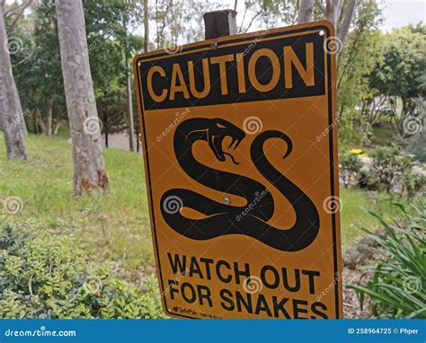 Caution Sign Watch Out For Snakes Editorial Image Image Of Signage Lane 258964725