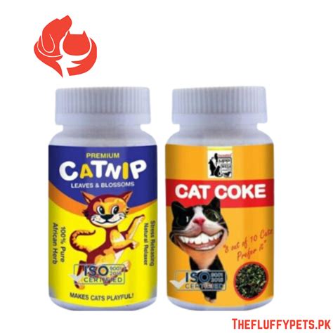 Buy Catnip Powder Or Cat Coke For Cats Online In Pakistan At Lowest Price
