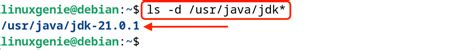 How To Install Java On Debian Linux Genie