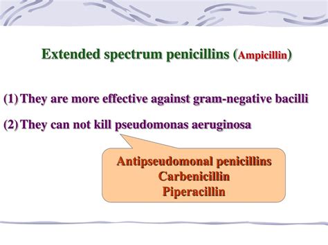 Ppt β Lactam Antibiotics Penicillins And Beyond Powerpoint