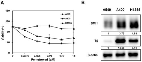 The Expression Level Of B Cell Specific Moloney Leukemia Virus Download Scientific Diagram