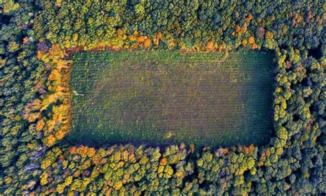 Opinion The Importance Of Biodiversity Reporting And Extinction