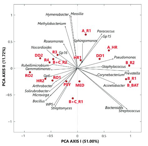 Two Dimensional Principal Component Analysis Biplot Made Via A Singular