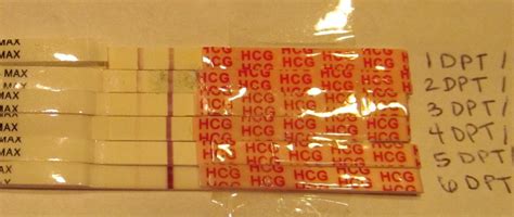 Progressing In Circles Testing Out A Trigger