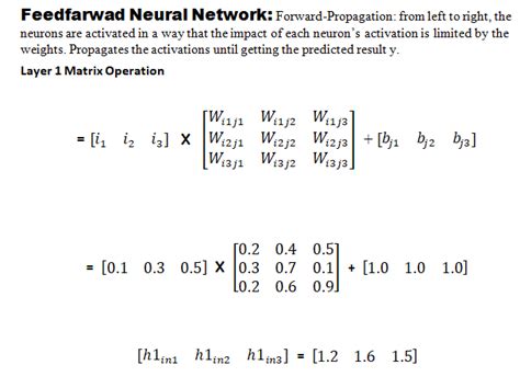 Artificial Neural Network Ann With Practical Implementation By Amir