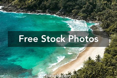 Elefant Thailand Photos Download The Best Free Elefant Thailand Stock