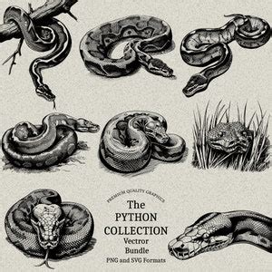 Python Designs Bundle Png Svg Digital For Laser Engraving Or Print Vector Snake Boa