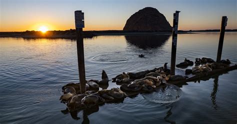 Visitor Guide Request Visit Morro Bay