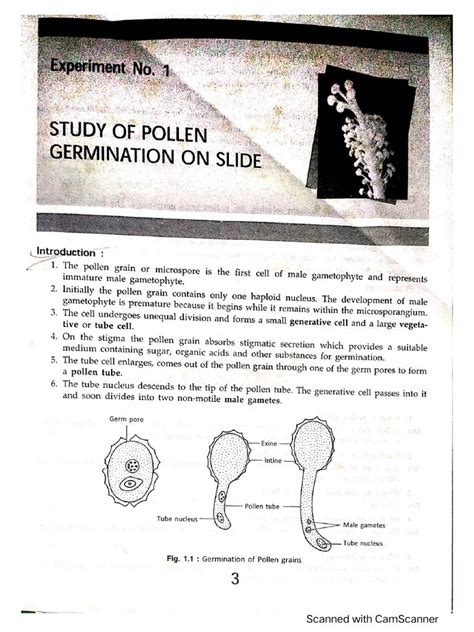 Biology Lab Note Book Pdf Biology Lab Note Book Pdf