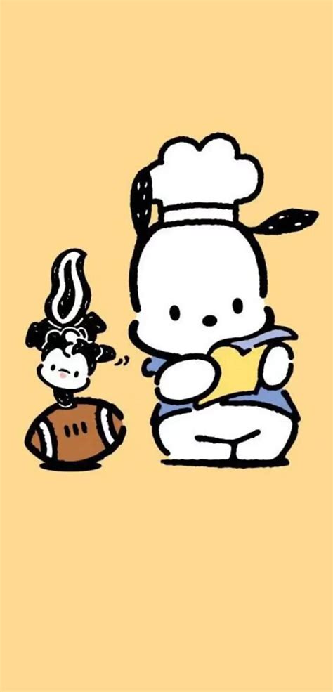 可爱的 帕恰狗 壁纸无水印分享 知乎