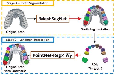 the workflow of our two stage method for automated tooth segmentation