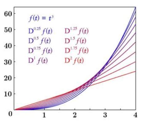 Efficient Evaluation Of Fractional Derivatives Institute For