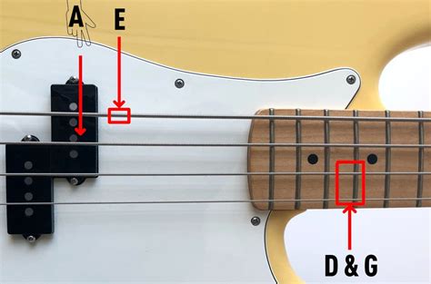 Bass Guitar Technique For Beginners Bax Music Blog