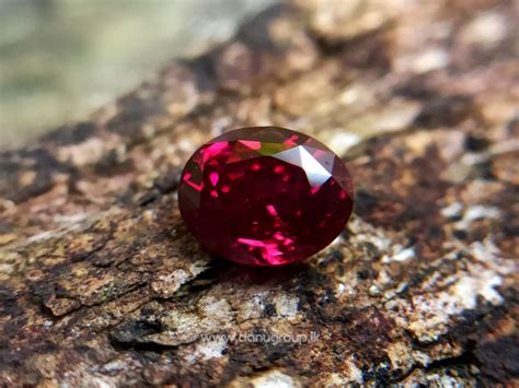 Ceylon Ruby Danu Group