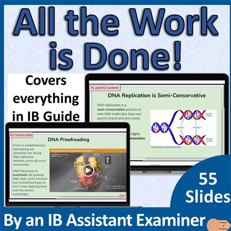 Ib Biology D11 Dna Replication Ib Diploma First Exams 2025