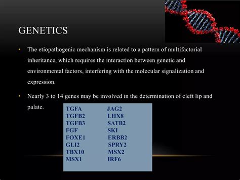 Cleft Lip And Palate Rehabilitation Dr Prathibha Prasad Pptx