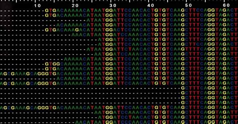 Whats Multiple Sequence Alignment In Bioinformatics