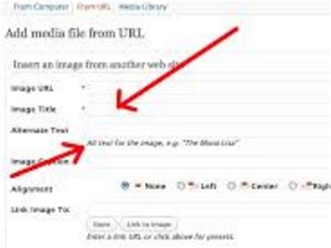 Images Use The Alt Attribute
