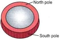 Chapter 4 Exploring Magnets Extra Questions And Answers Class 6 Science