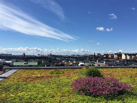 Low Impact Development Technologies Revolutionising Design Rmjm