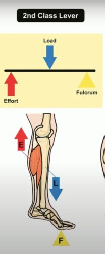 Physics Flashcards Quizlet