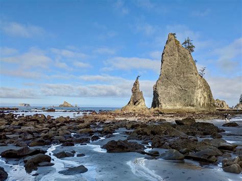 Rialto Beach On The Wild Coast Of Washingtons Olympic National Park