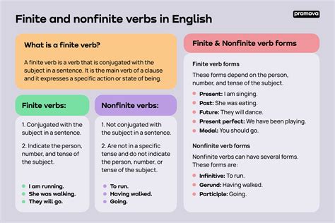 Finite And Nonfinite Verbs Promova Grammar Verb English Verbs