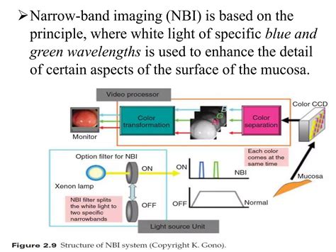 Narrow Band Imaging Pptx