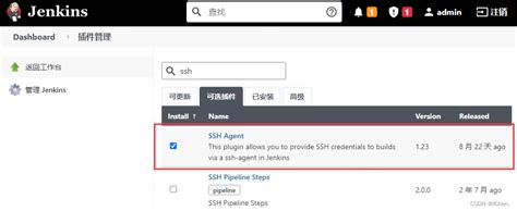 jenkins 添加node节点 jenkins配置ubuntu的node计算节点 csdn博客