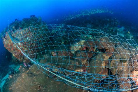 What Is A Gill Net