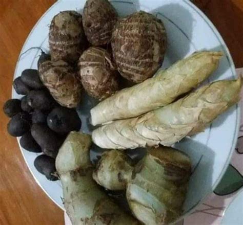 Beberapa Umbi Yang Bisa Di Konsumsi Bahkan Jadi Komoditas Kissparry