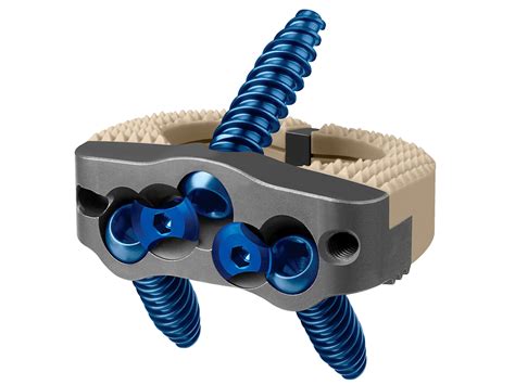 Globus Medical Independence Mis® Interbody Fusion System Catalog 3135