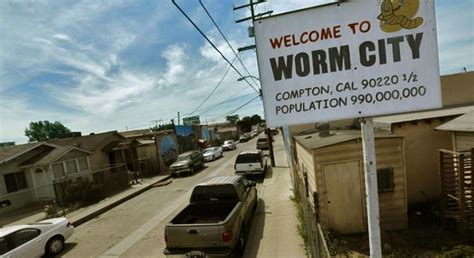 Great Read From Icky Bugs To Good Grub Why More People Are Eating Insects Eating Insects