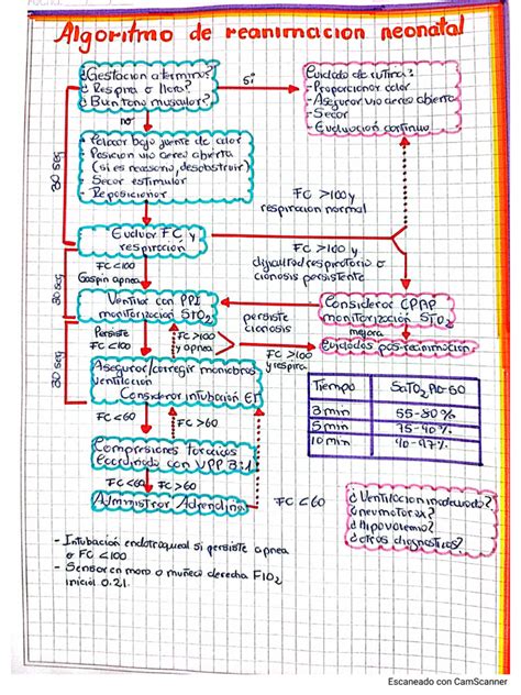 Algoritmo De Reanimacion Neonatal Pdf