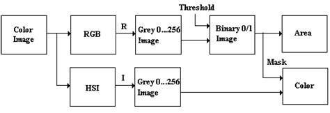 image segmentation procedure download scientific diagram
