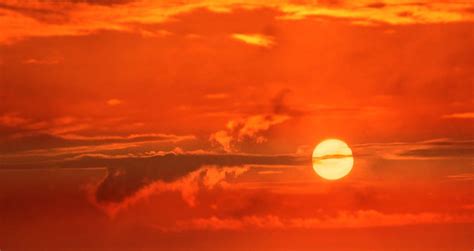 La luz del sol puede frenar los virus – CURIOSAS MENTES