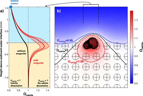 Effects Of The Dissolution Of A Pteropod Shell On The Saturation State