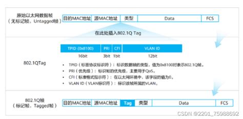 第六章：交换技术 vlan 网络克隆和标准交换 csdn博客