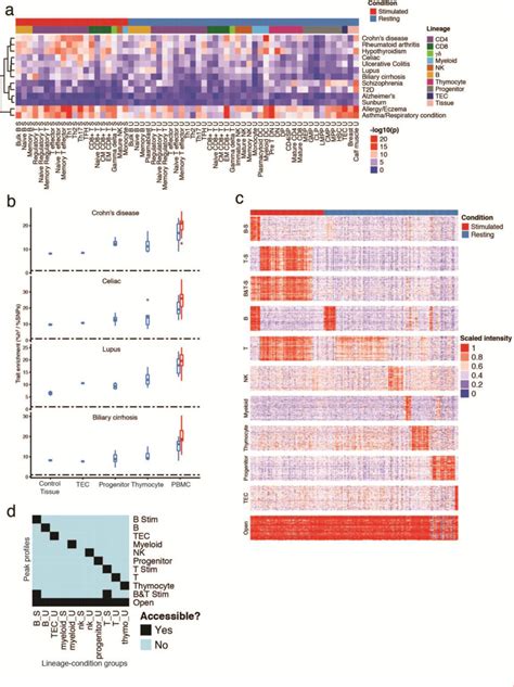 Gwas Enrichment At Chromatin Accessible Sites A Significance Of