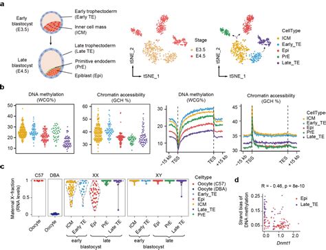 Cell Research 汤富酬团队报道了用于单个细胞内多组学分析的测序方法 Scnanocool Seq 单细胞测序网