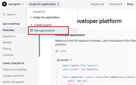 Rag 활용 Llm 개발 Openai Api Quota 초과 에러 2025 3월 기준