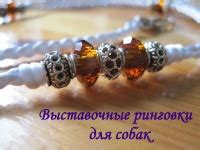 Выставочные ринговки для собак | Вступайте в нашу группу сами и ...