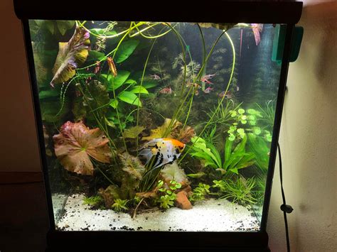 I Found This Bootleg Plush On Amazon And I Have So Many Questions R Pizzatower