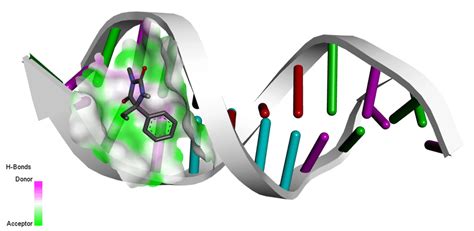 The Donor Acceptor Interaction Between Mephenytoin And B Dna