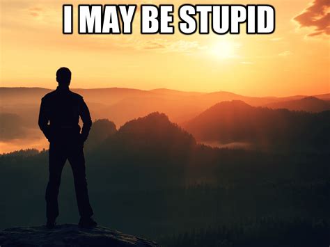 I May Be Stupid, now in HD : r/MemeRestoration